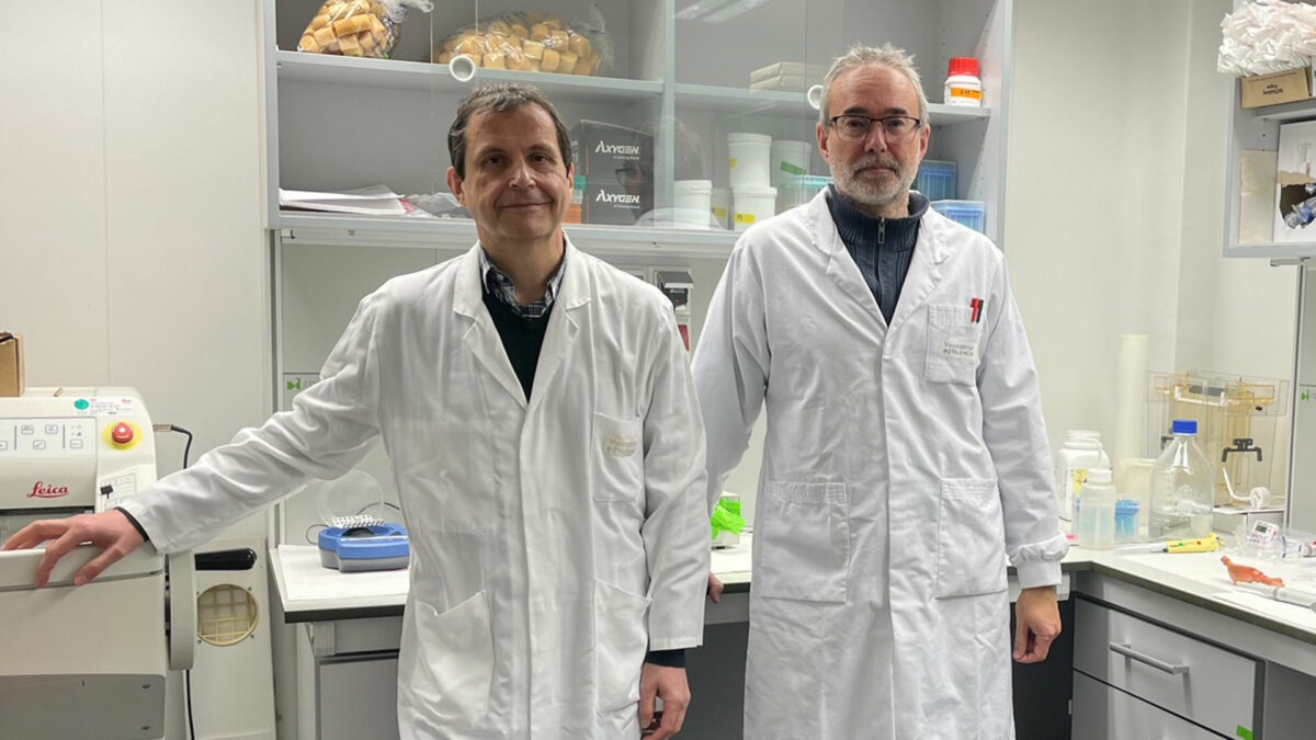 INCLIVA realiza un trabajo de revisión de los tratamientos en ...