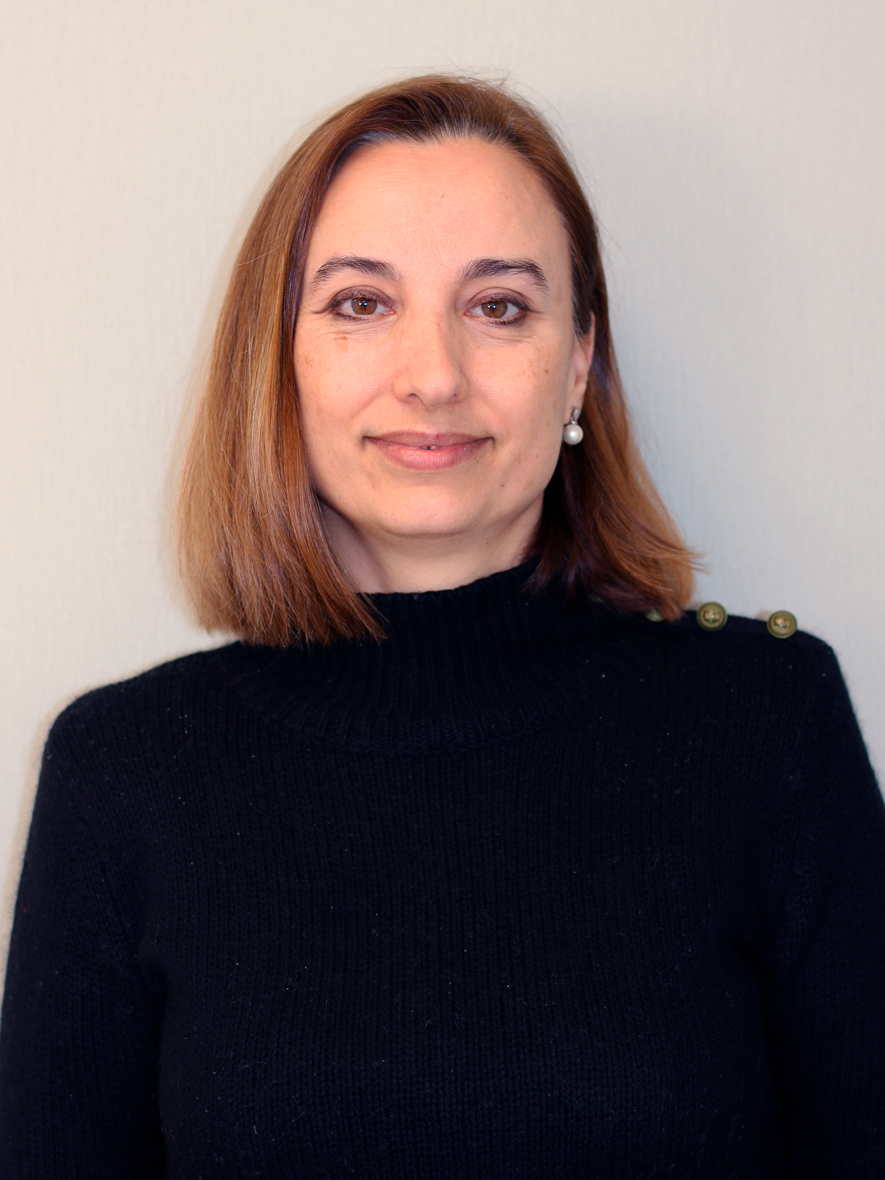 Internacional – INCLIVA – Instituto de Investigación Sanitaria